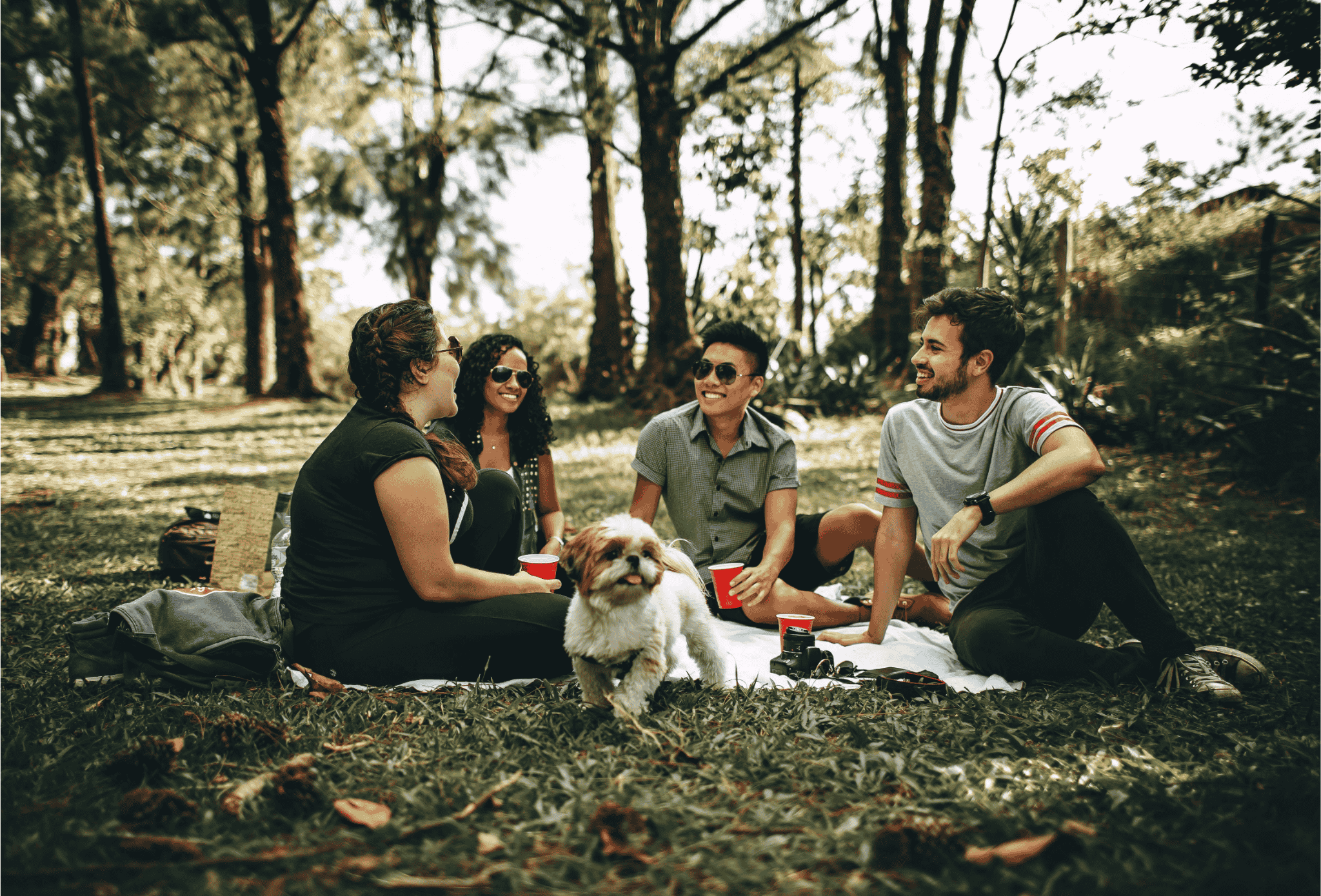 12 Connection-Building Icebreaker Activities for Work - Outback Team ...