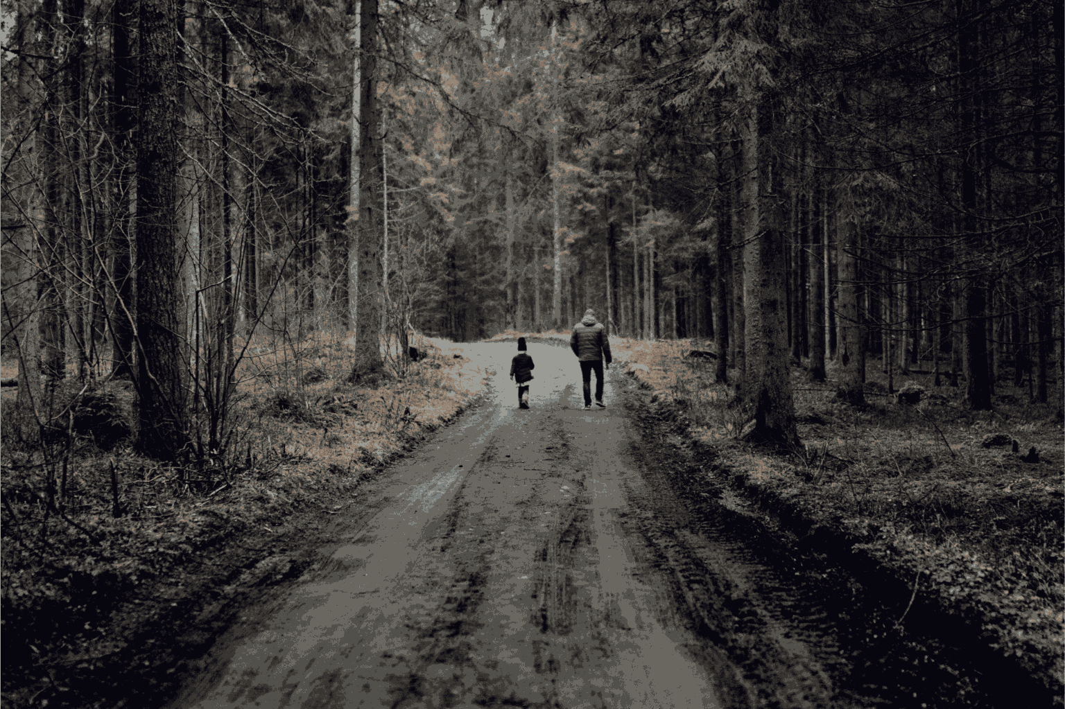 5 Inspiring CSR Success Story Examples - Outback Team Building & Training
