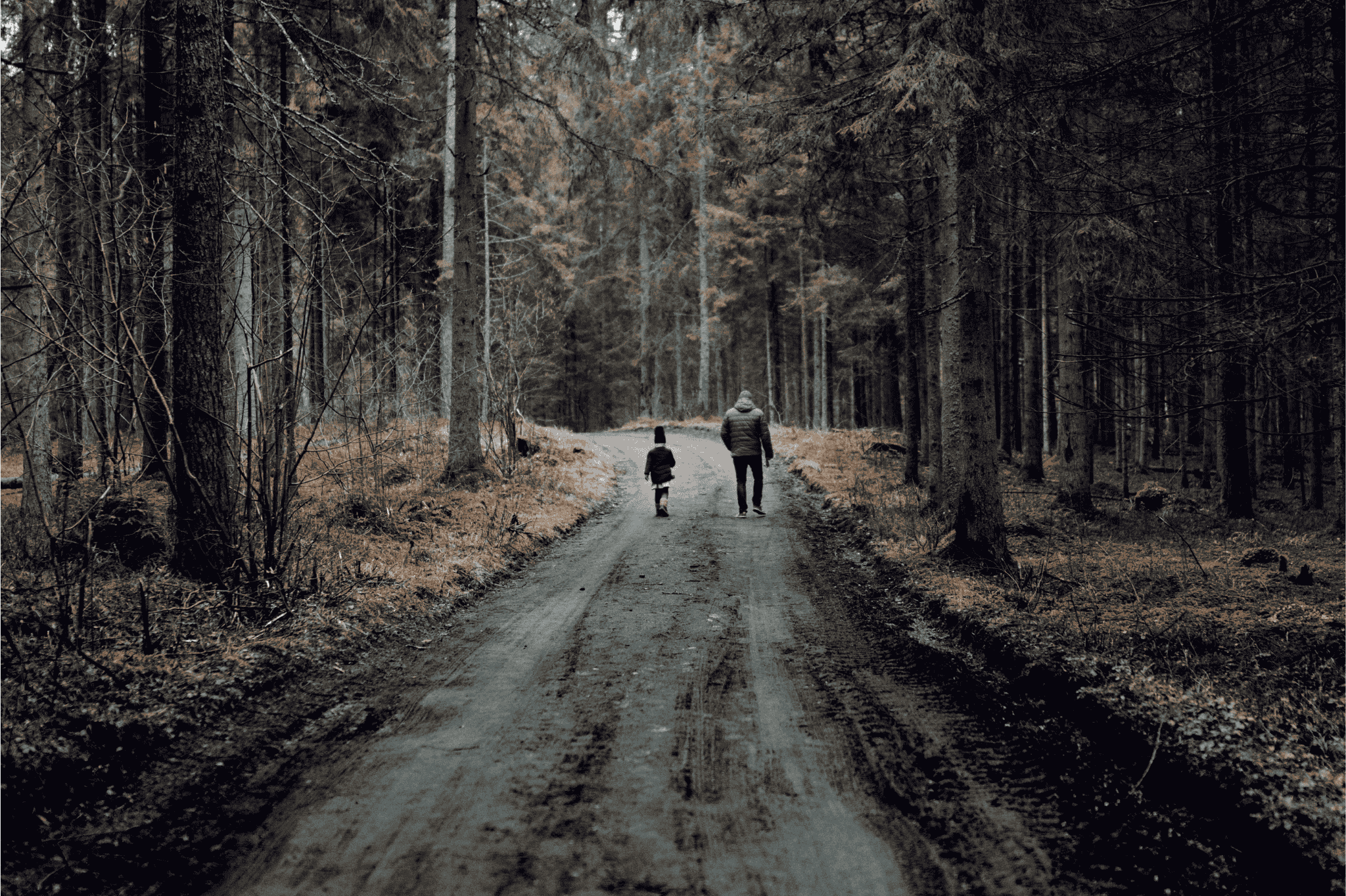 5 Inspiring CSR Success Story Examples - Outback Team Building & Training