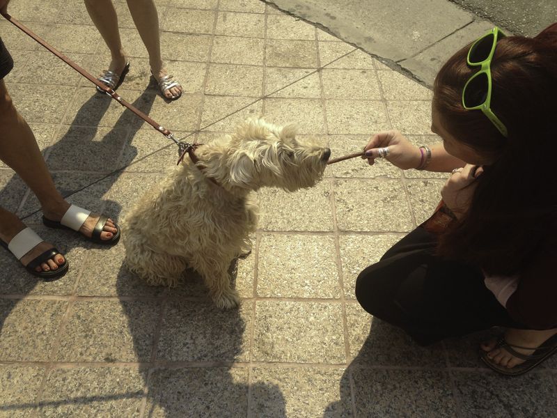 Team Building Rochester, New York | Outback Team Building & Training