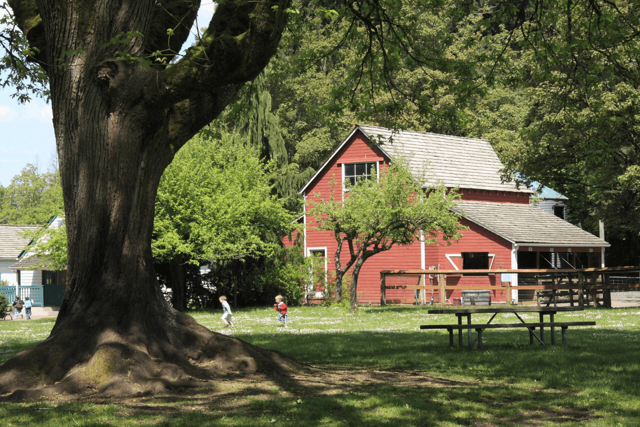 12 Team Building Activities in Redmond That Blend Innovation, Nature ...